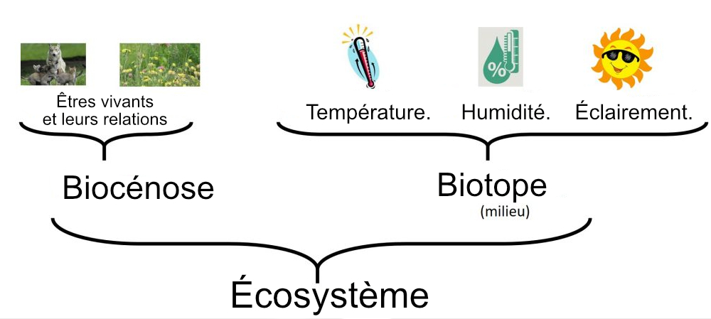 L’humain se nourrit : impact sur la biocénose. – WEBEDUCATION